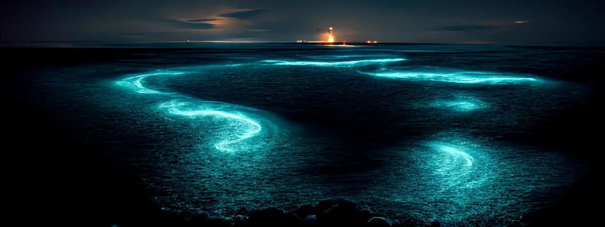 Playas con bioluminiscencia en España: mares que brillan de día y de noche