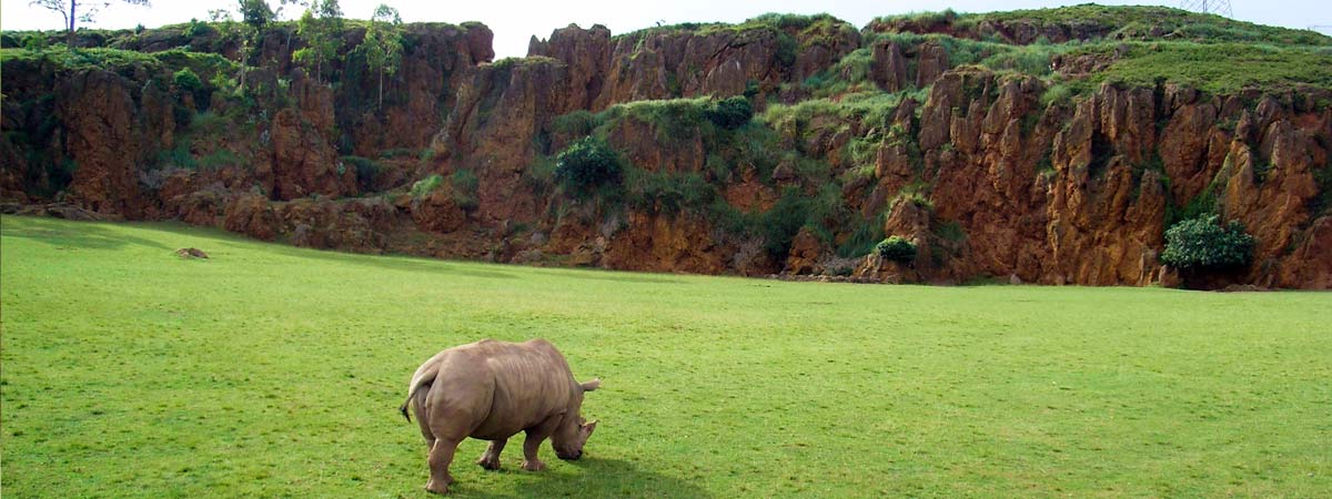 Parques naturales en los que ver animales en semilibertad en España